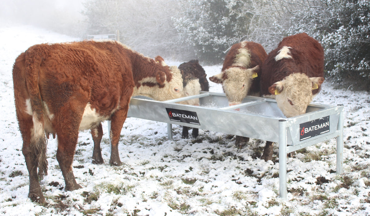 Cattle Troughs & Feeders – RGH Supplies LTD