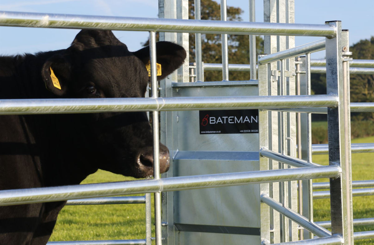 Cattle Handling – RGH Supplies LTD