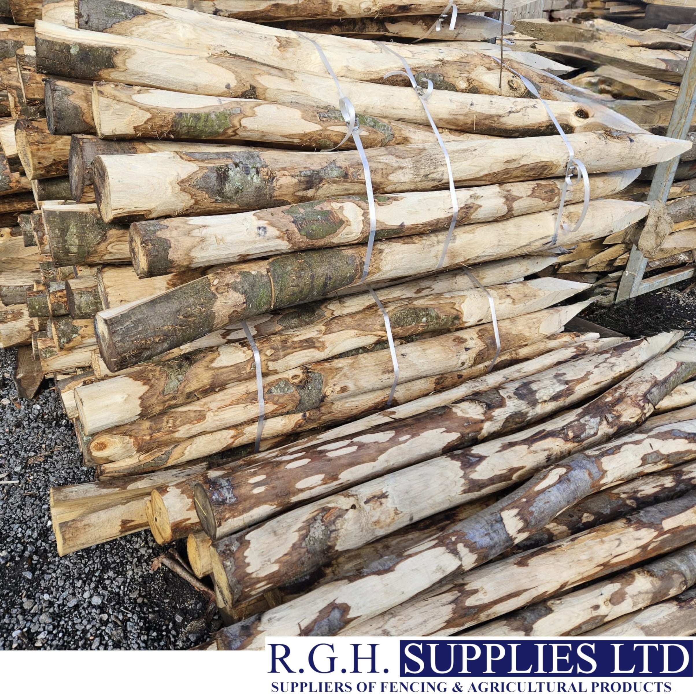 Bundle of 50 x 1.8m Peeled Chestnut Intermediate