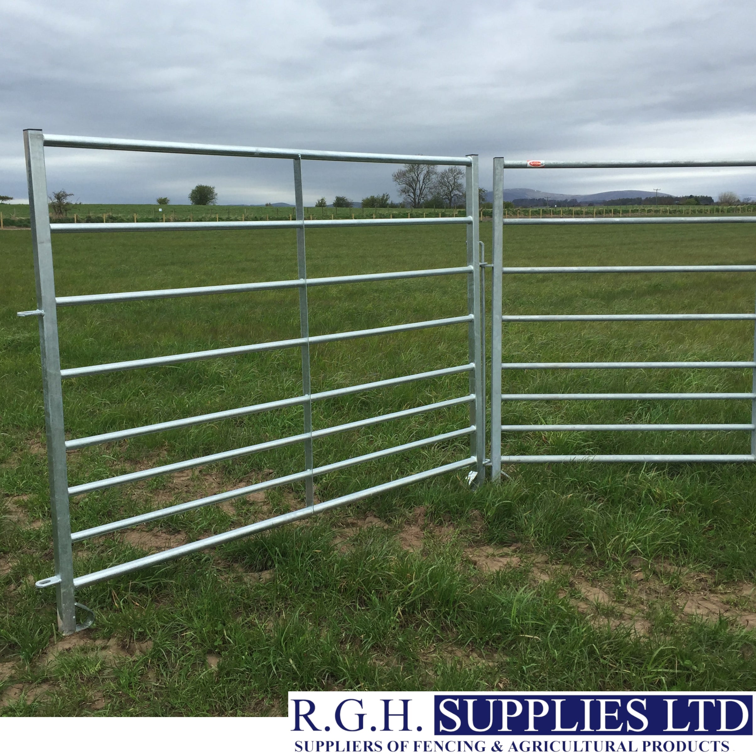 Ritchie 1830mm H 8 Rail Premium Cattle Hurdle