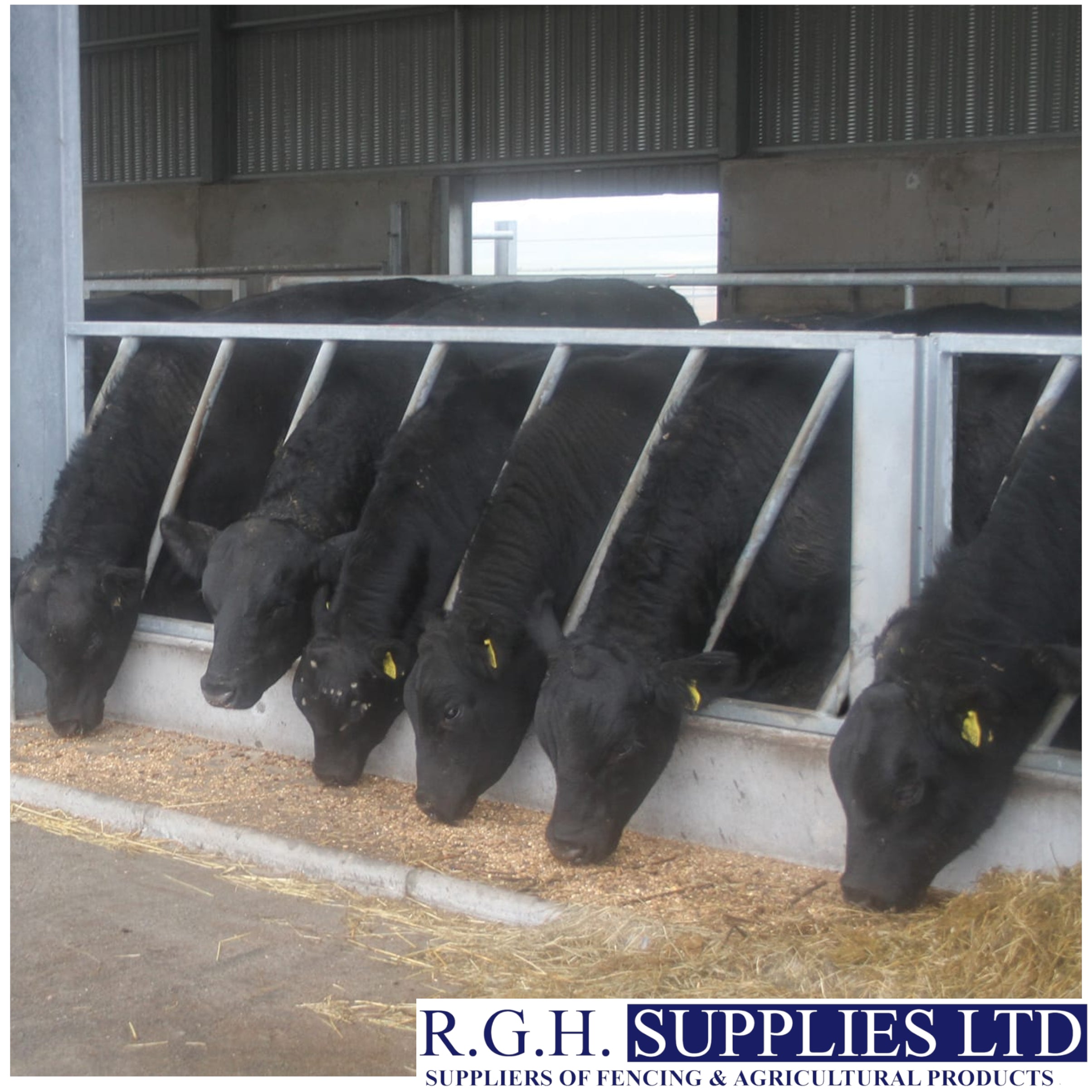Ritchie 15ft Adjustable Diagonal Feed Barrier With Timber Skirt