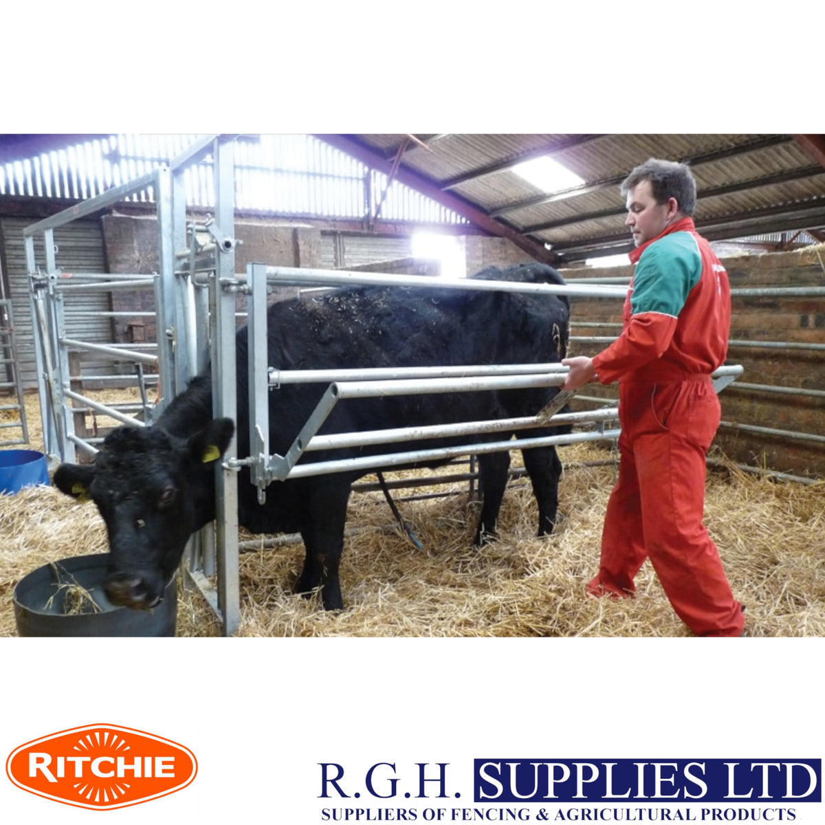 Ritchie Calving Gate FETF65