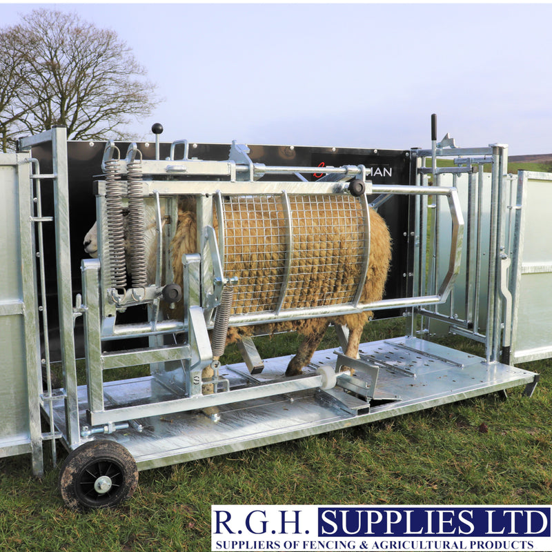 Bateman 800-30 Sheep Vet Turn Over Crate FETF241A – RGH Supplies LTD