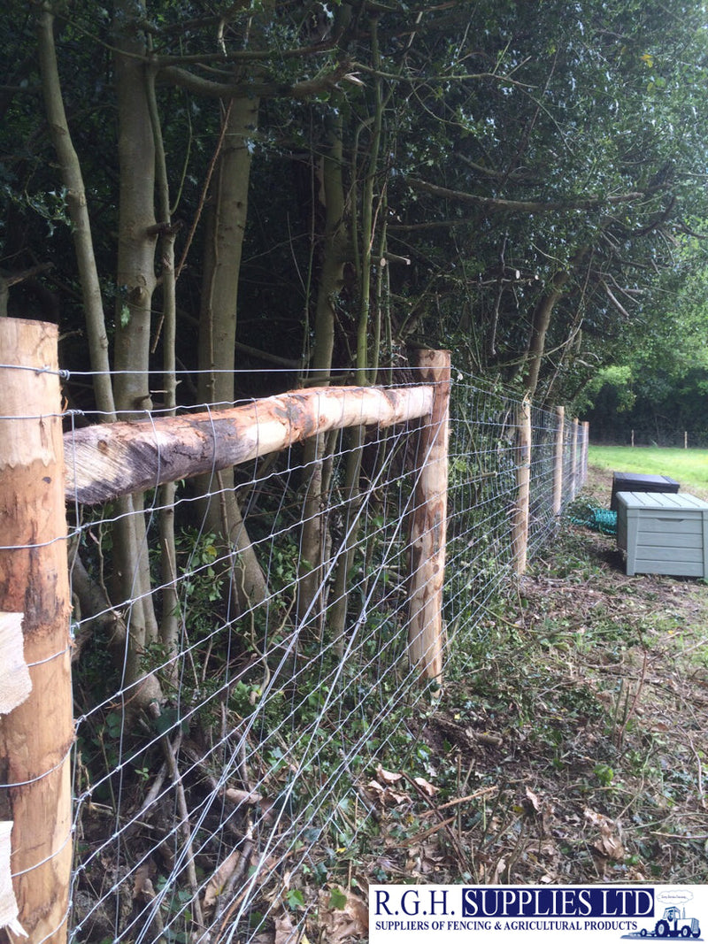 Bundle of 50 x 1.8m Peeled Chestnut Intermediate – RGH Supplies LTD