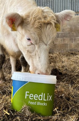 Dallas Keith Feedlix Hi-Energy 20KG