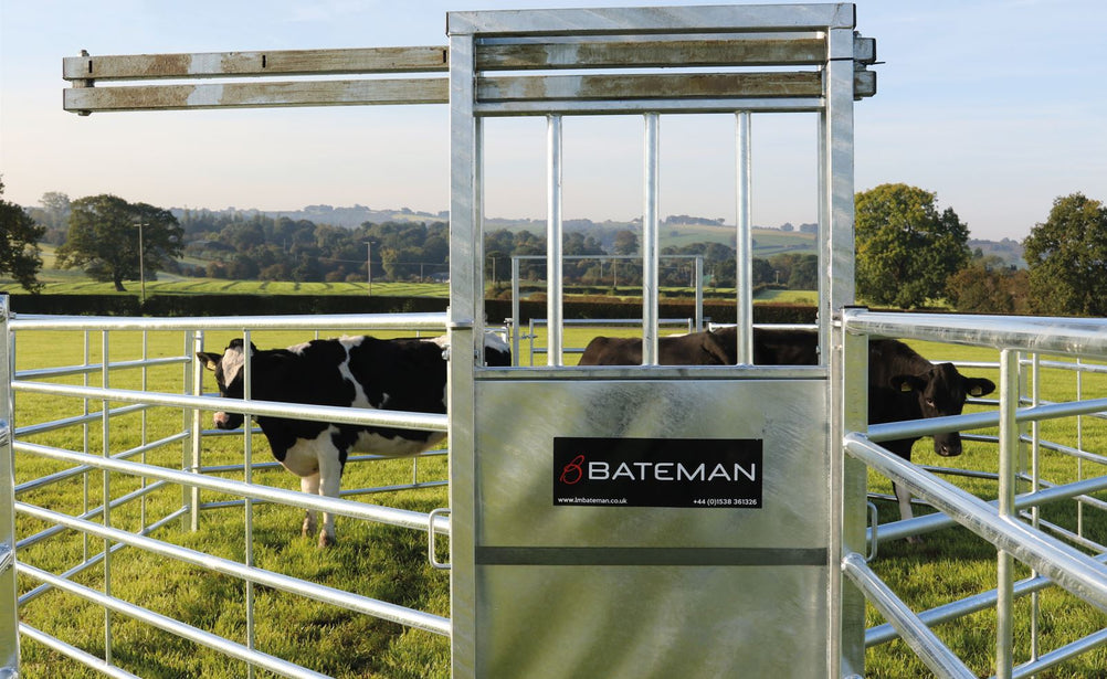 Bateman Sheeted Sliding Gate