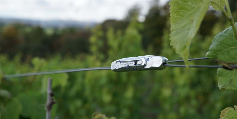 Gripple GP-FIX for Easy Repairs on 1.8mm - 3.2mm Trellis Wires – RGH ...